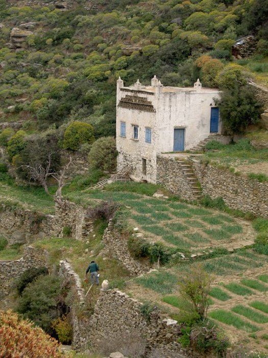 ΚΑΤΟΙΚΟΙ ΙΛΙΟΥ: Ξερολιθιές