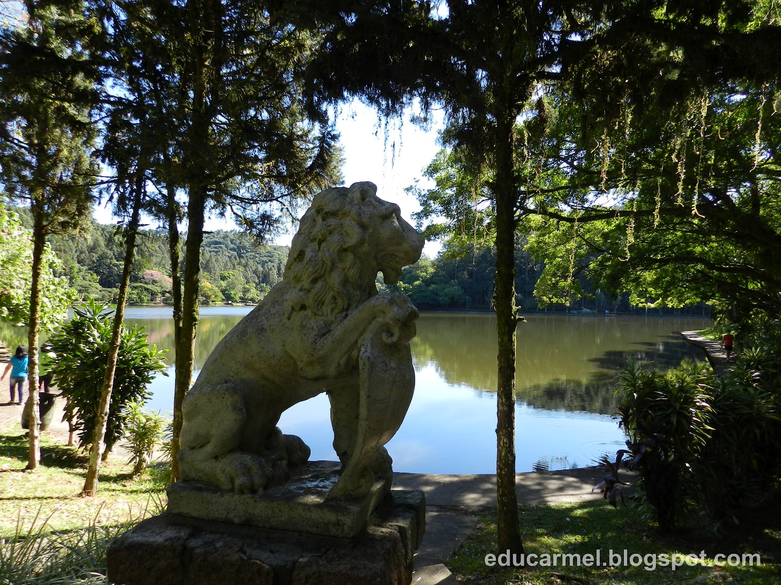 .: As Belezas do Parque Malwee, Jaraguá do Sul - Santa Catarina - Brasil