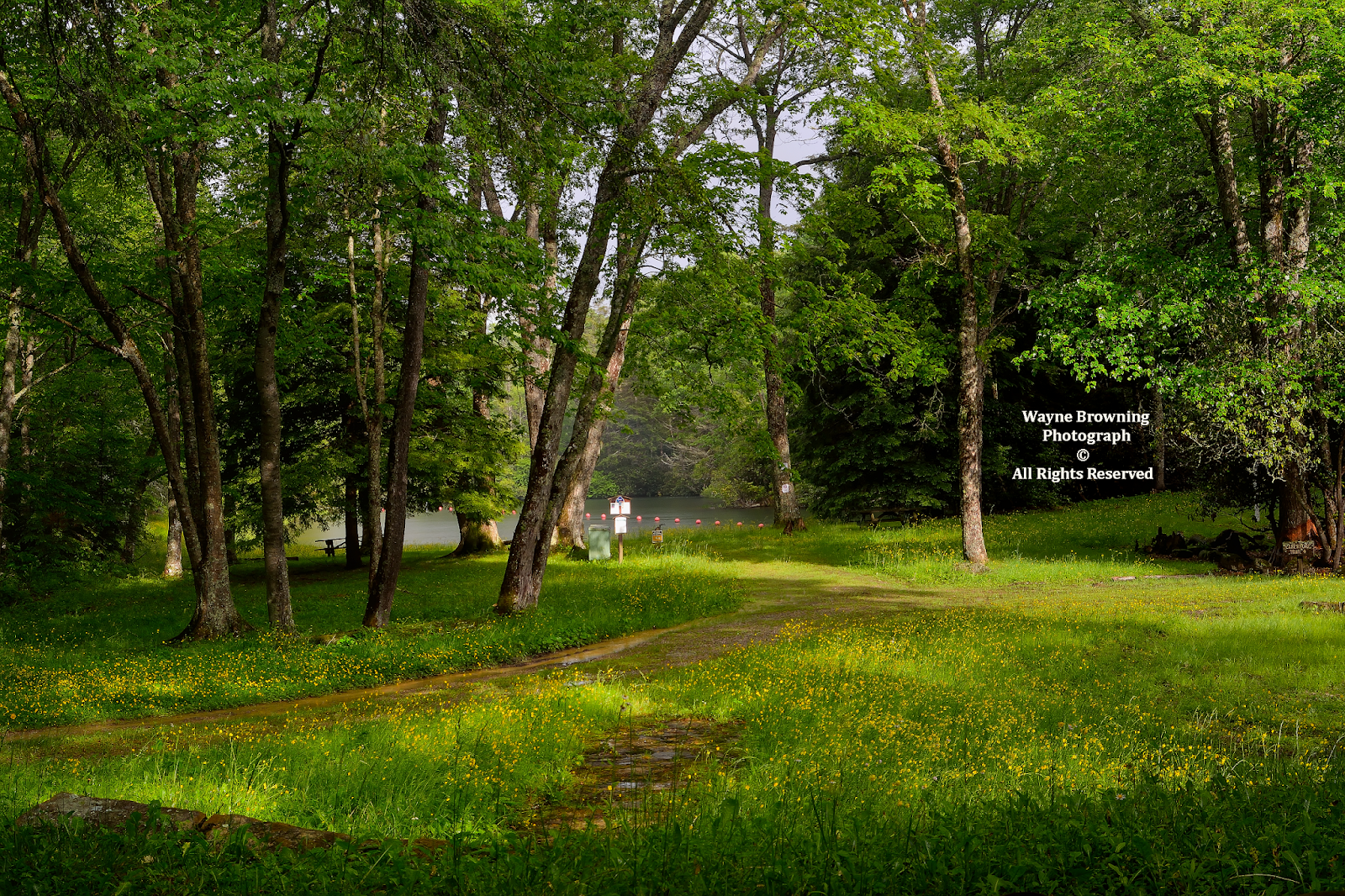 The High Knob Landform: Spring 2018 Renewal_High Knob Massif Area