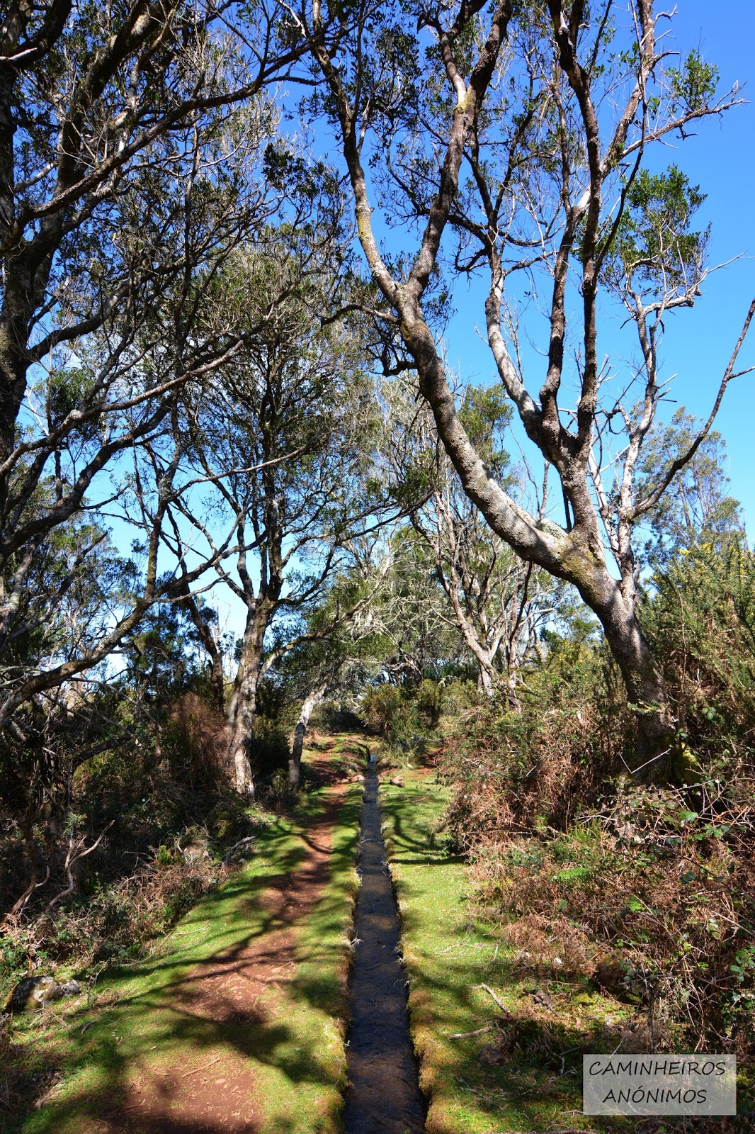 Caminheiros Anónimos Levadas da Madeira : Levada Grande (Achadas da Cruz)
