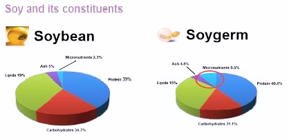 Review: Top 3 Reasons Why I Personally Love Soybean Germ Formula - DLC ...