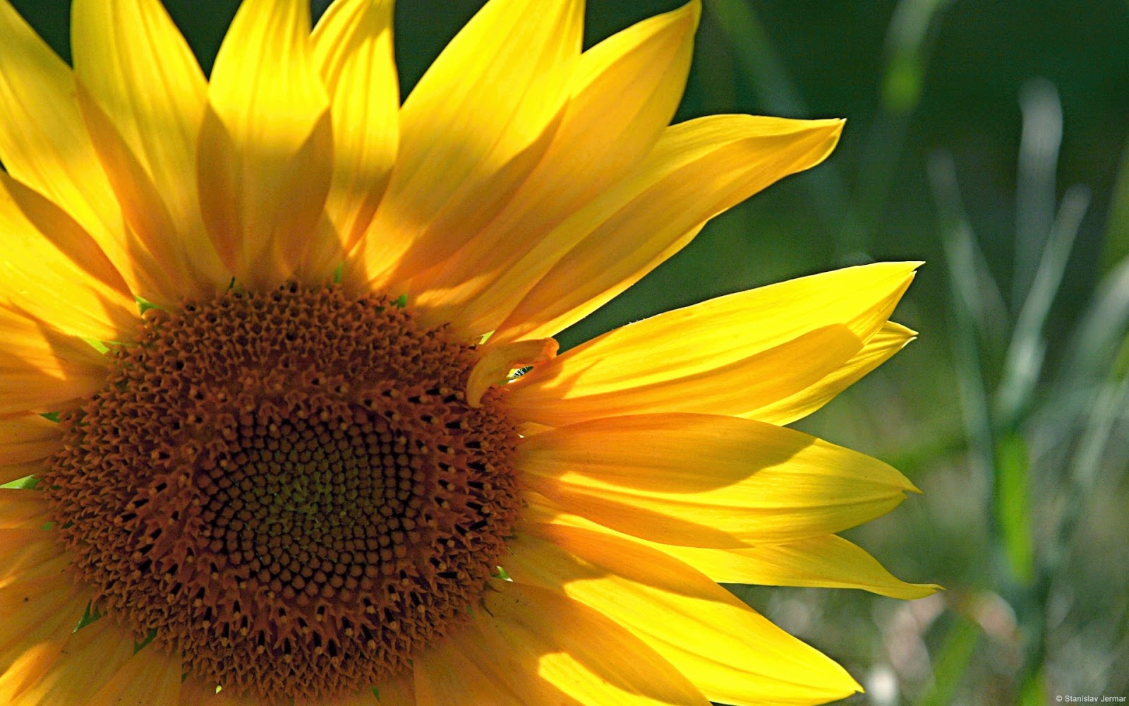 A DAY IN THE LIFE OF AN ECE