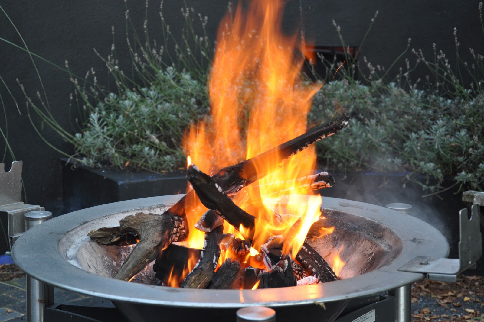 Fire and Food: A Real Wood Barbecue