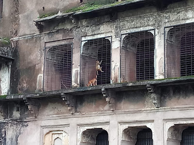 Mandla Ramnagar moti mahal (m.p.) india pics | मंडला रामनगर मोती महल