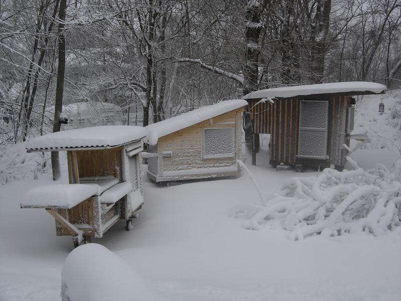 Relaxshacks.com: Just about this time last year..... my small house in ...