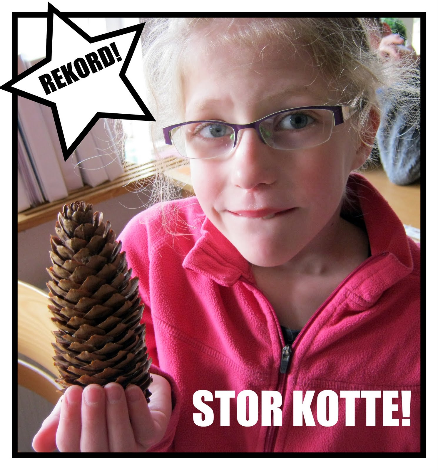 Rekord-Rummet: maj 2011