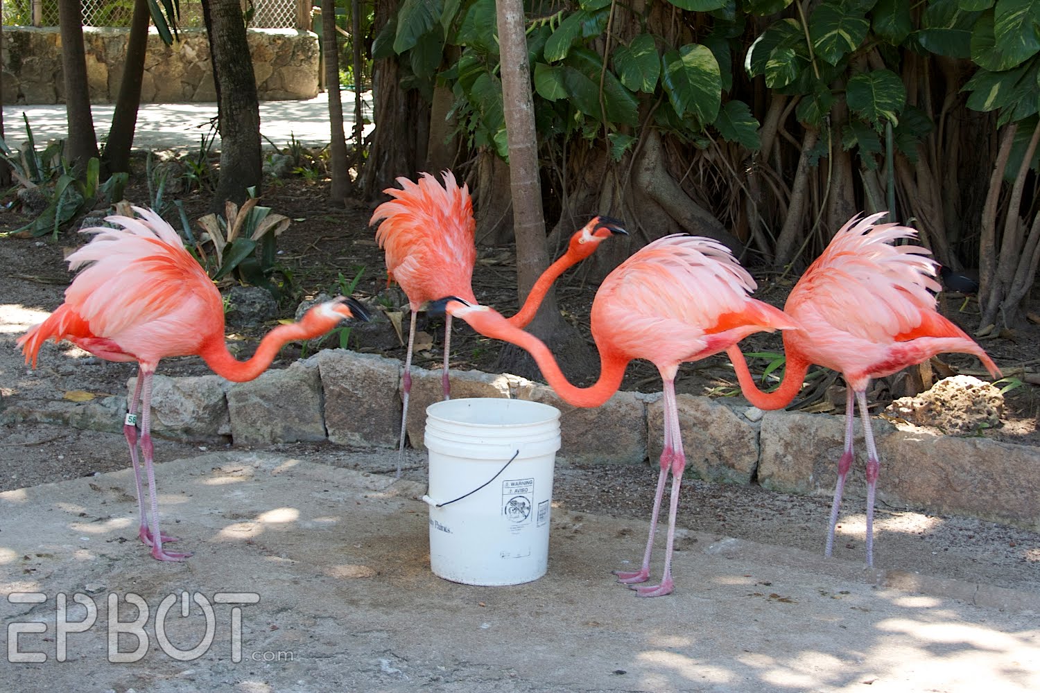 EPBOT: When Flamingos Attack
