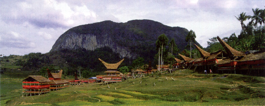 Traveler Guide: Welcome to Toraja