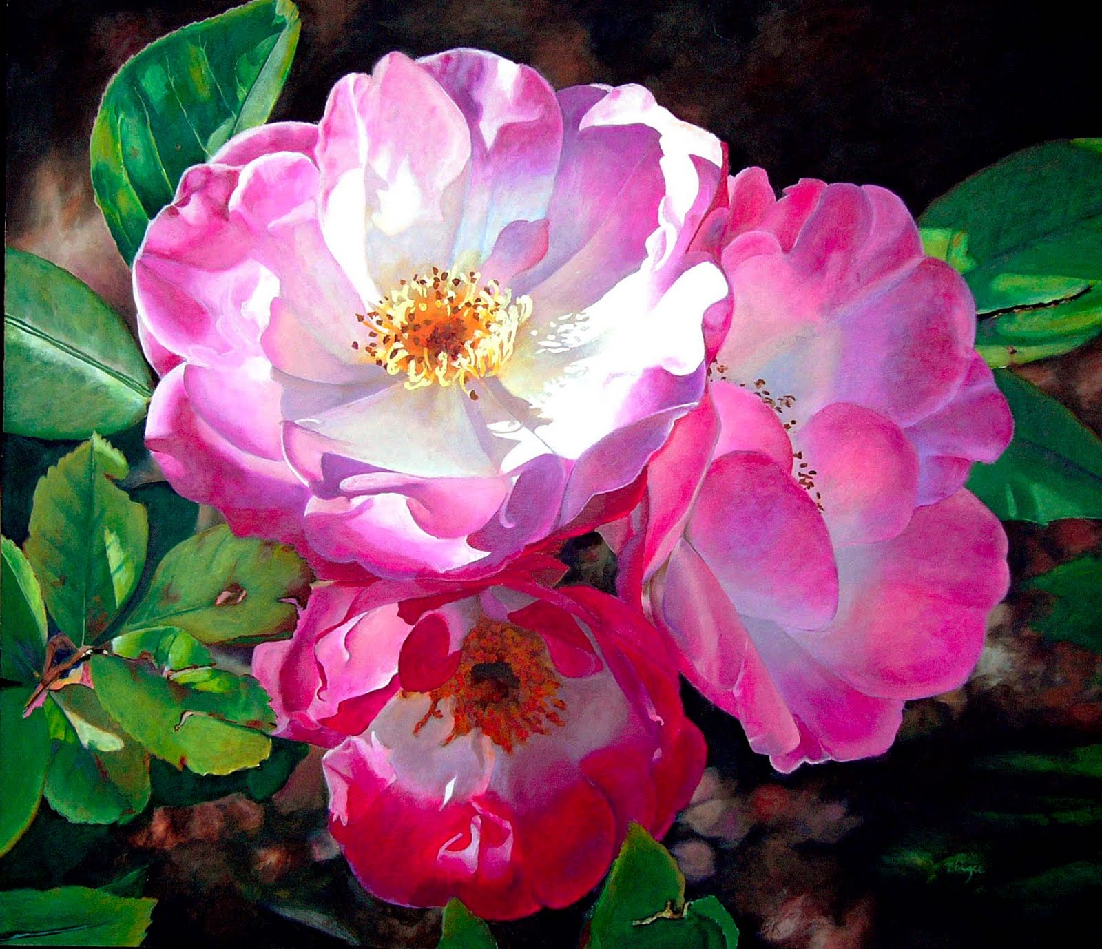 Art By Shizuko Barbara Hanson: Three Roses