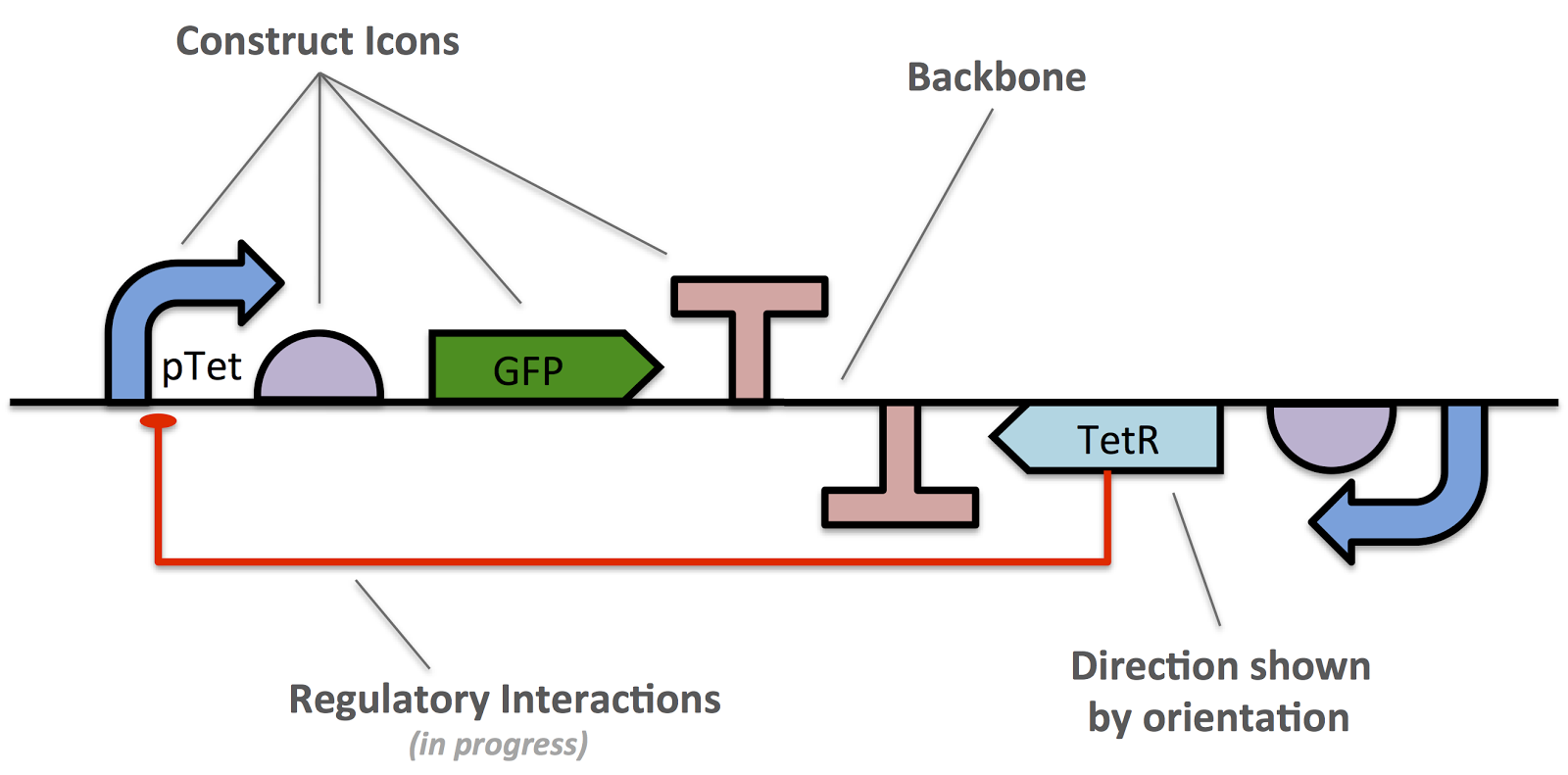 Jake Beal's Next Step: SBOL Visual