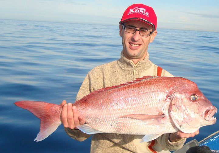 POISSONS DES CÔTES ALGÉRIENNES: DENTEX GIBBOSUS OU DENTE BOSSU : PHOTO ...