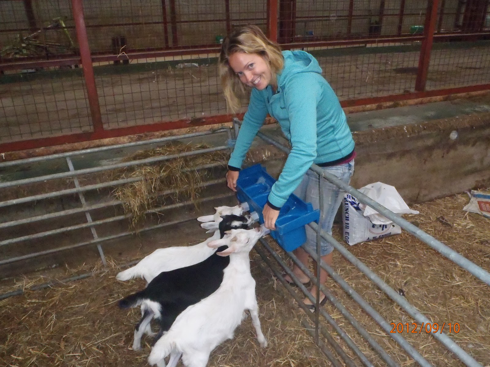 WWOOFing Europe: Milking, Castration & Chemicals
