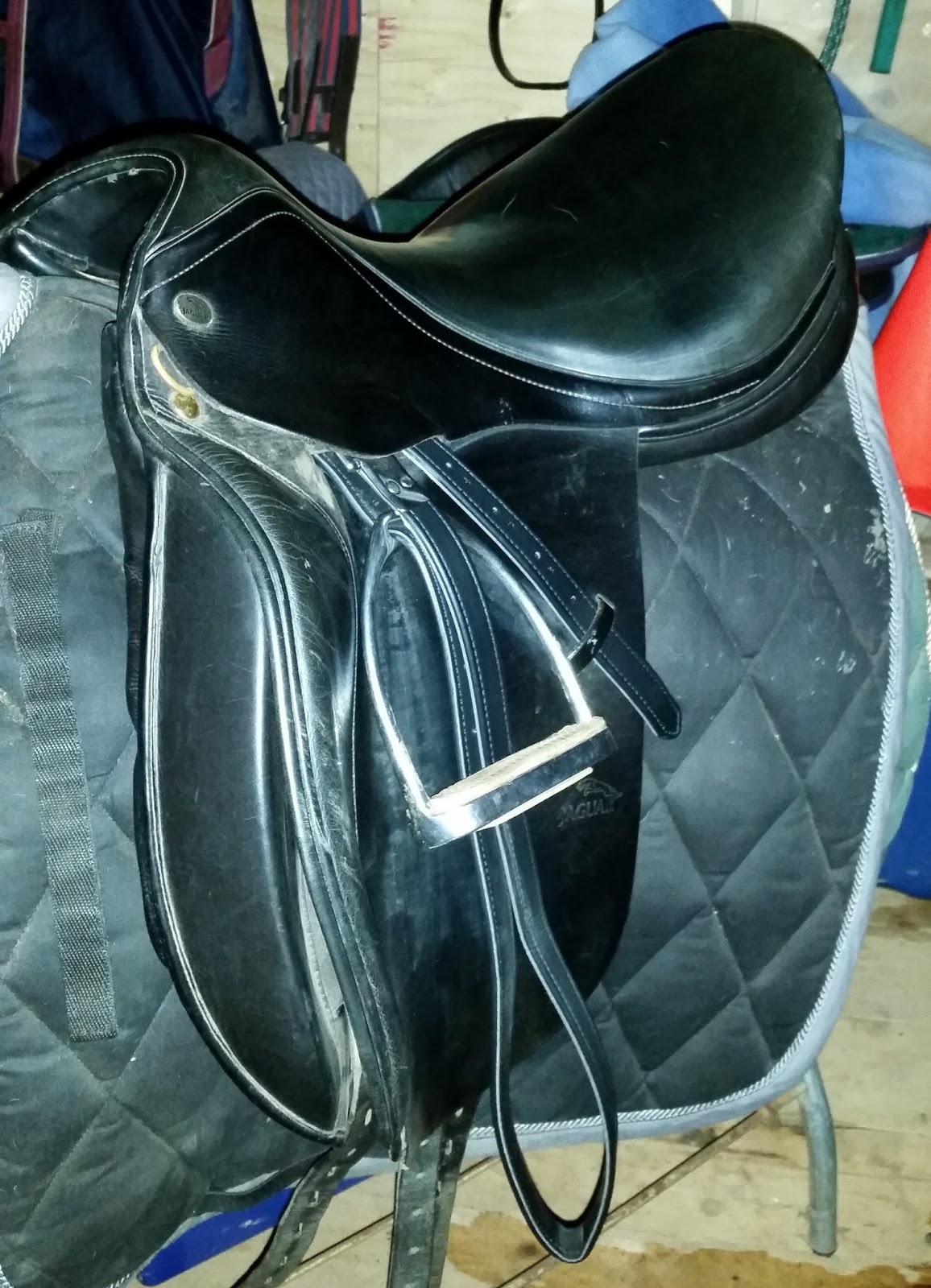 Autonomous Dressage: Tack Room Tour - Dressage Tack