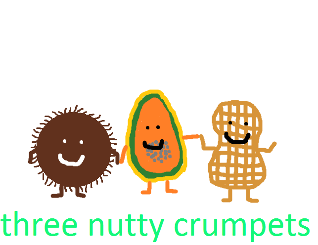 Three Nutty Crumpets: Perfected Baked Coconut Rice Cake 椰汁烤年糕