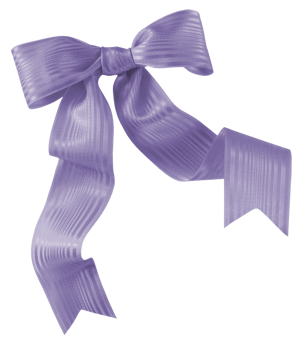 Lazos color violetas variados