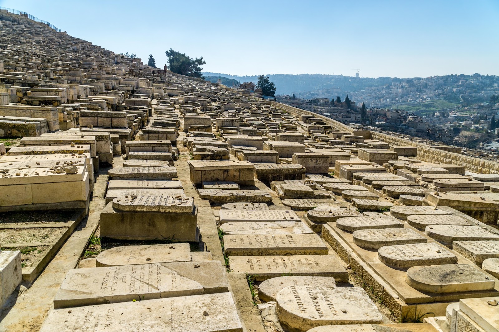 Jaan Kolberg: JUUDI SURNUAED, PALESTIINA SURNUAED