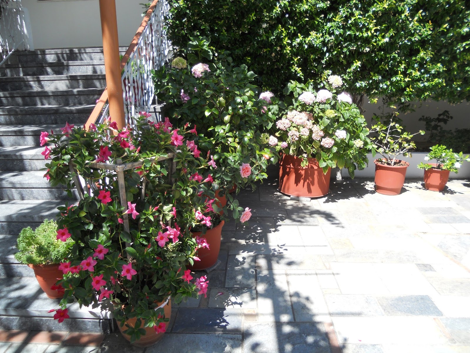 ΔΙΑ ΧΕΙΡΟΣ: « ΠΡΟΣΚΥΝΗΜΑΤΙΚΗ ΕΚΔΡΟΜΗ ΤΟΥ ΙΕΡΟΥ ΝΑΟΥ ΑΓΙΟΥ ΑΛΕΞΙΟΥ ...