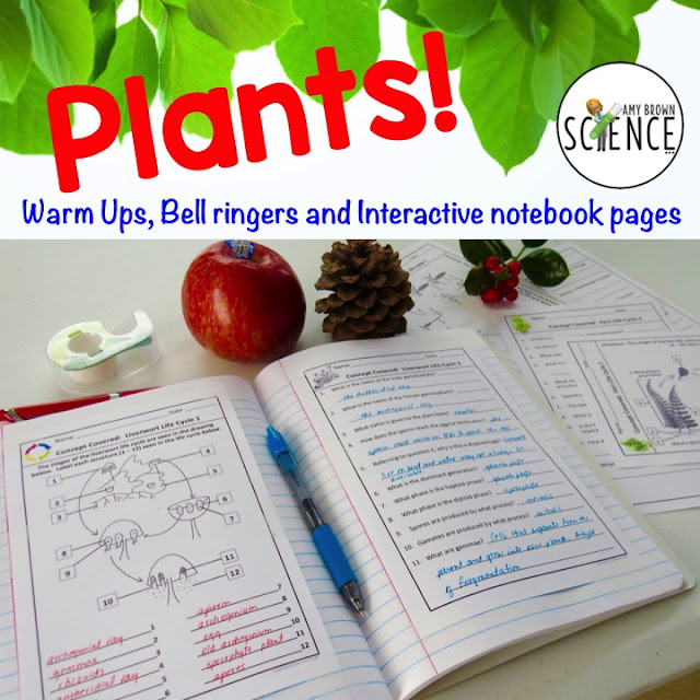 Amy Brown Science: Amp Up Your Unit on Plants!