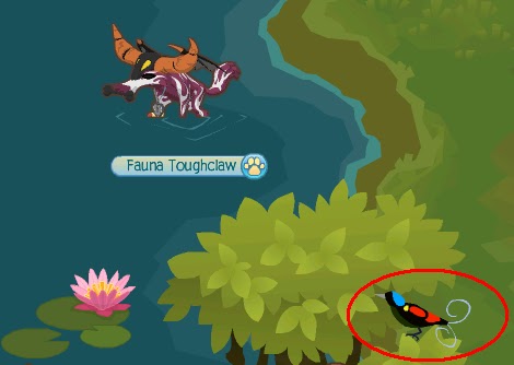 Animal Jam Adventures: Birds Of Paradise Guide