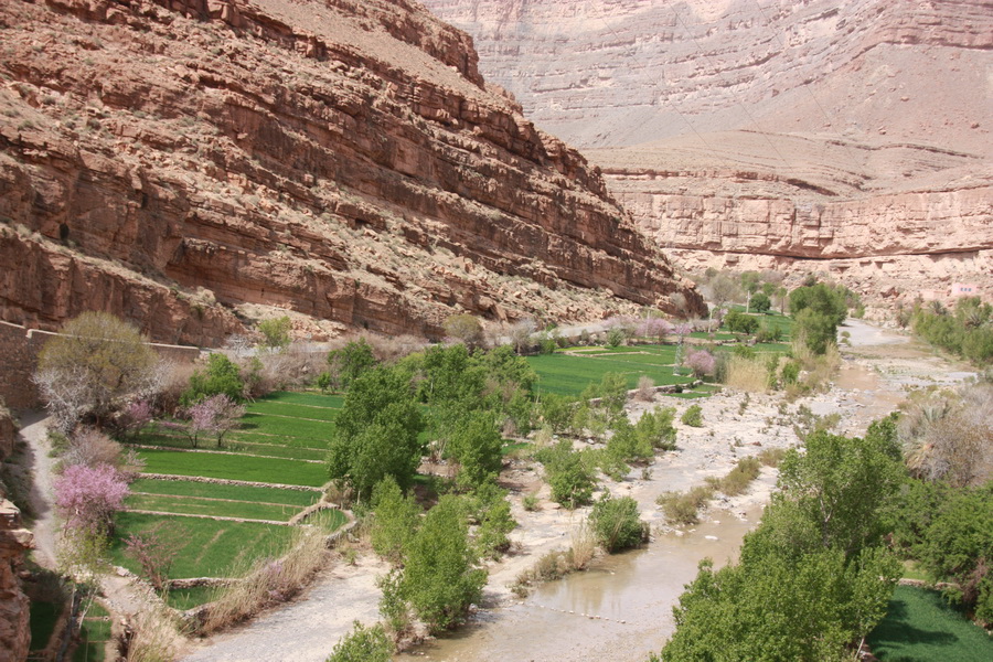 Notre tour du Maroc 2014: 22 mars - du Todra à Goulmima via Assoul