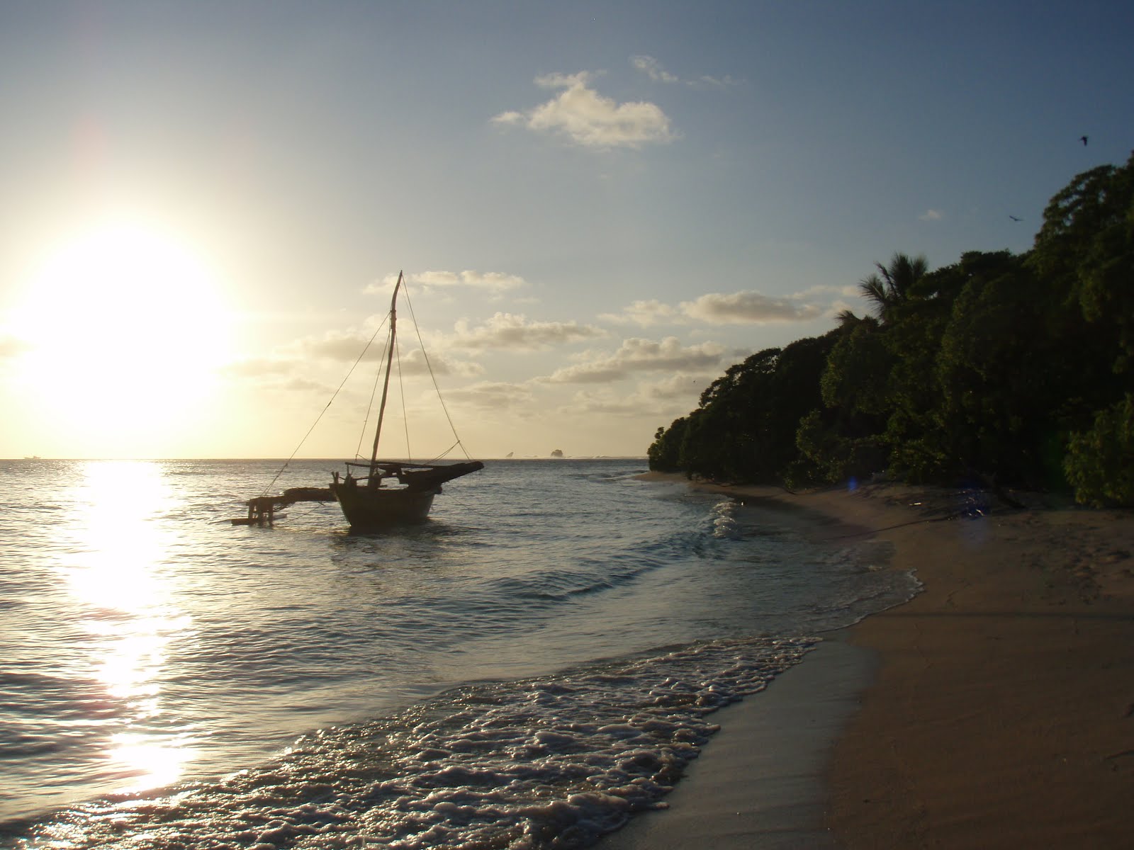 Elenya: West Fayu Photos