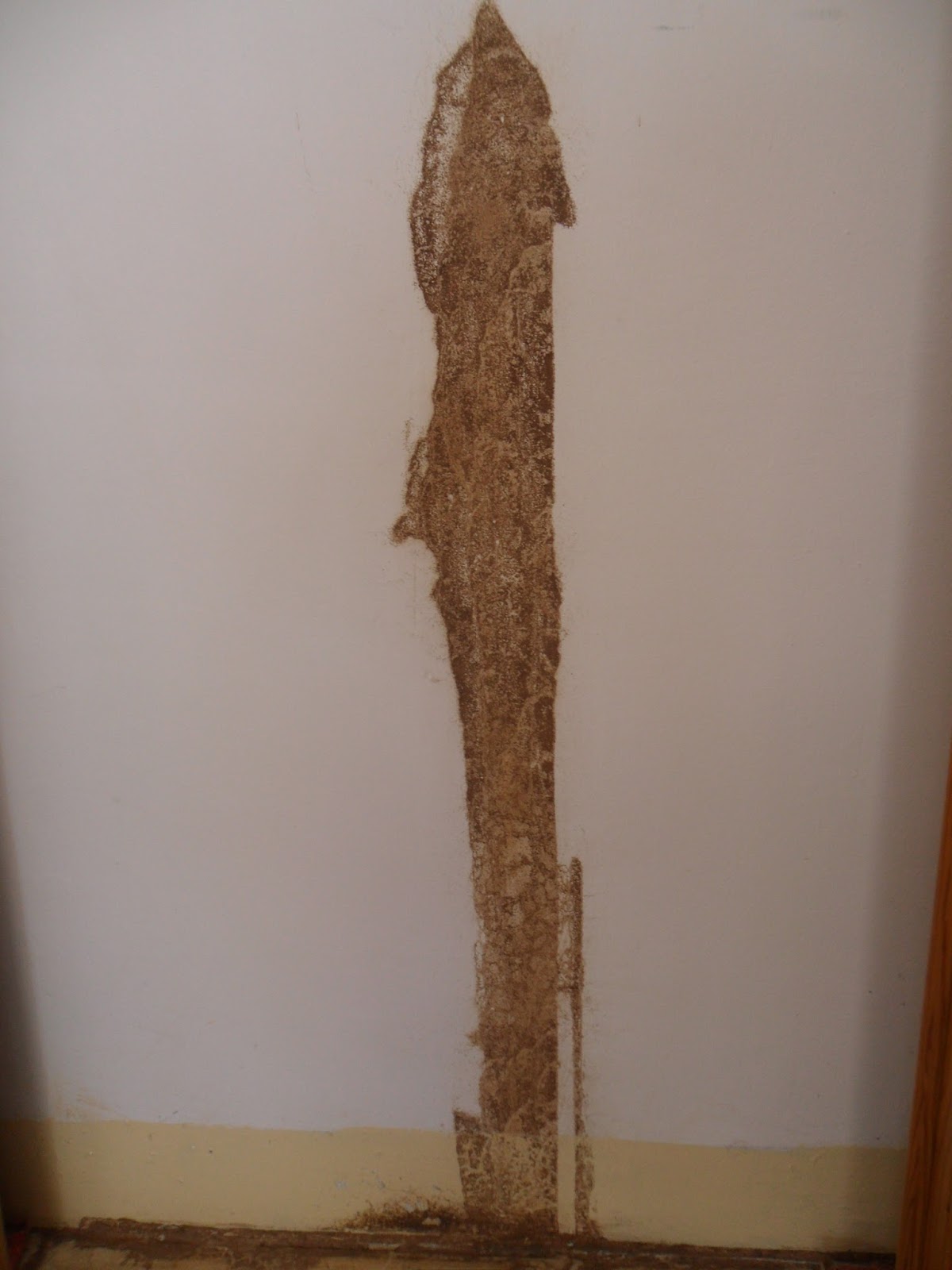 la maginoteca: Comedores de madera aglomerada y traseras ¡Peligro!