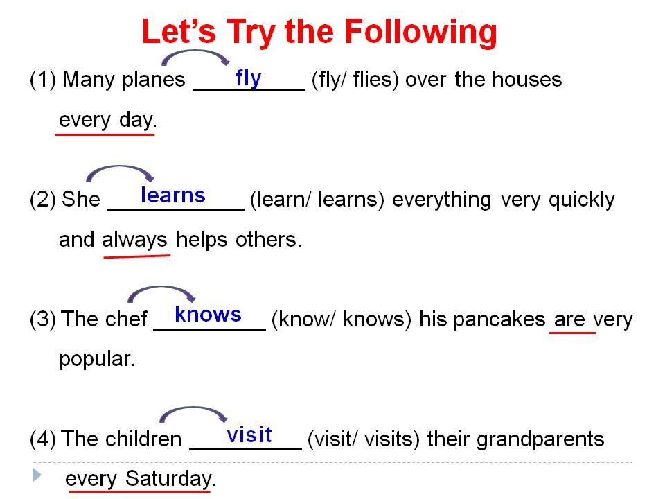 P2A Class Blog: Simple Present Tense