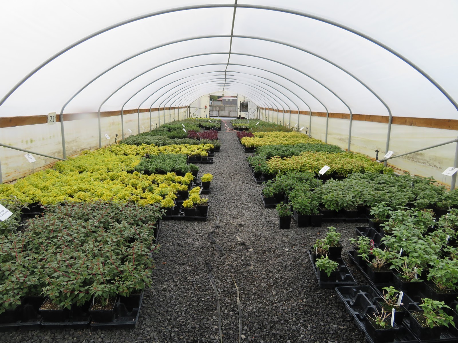 Nursery Visit: Little Prince of Oregon 2017