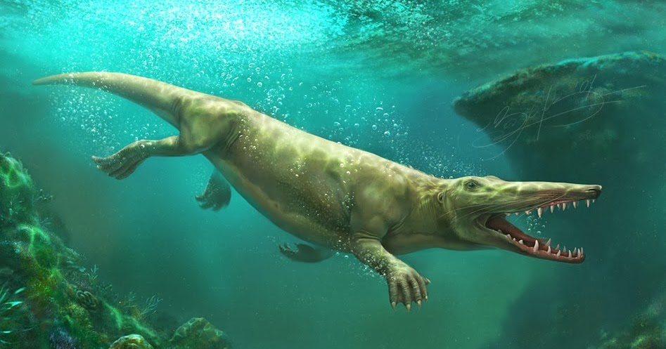 Mundo Pré-Histórico: Ambulocetus, a baleia que andava