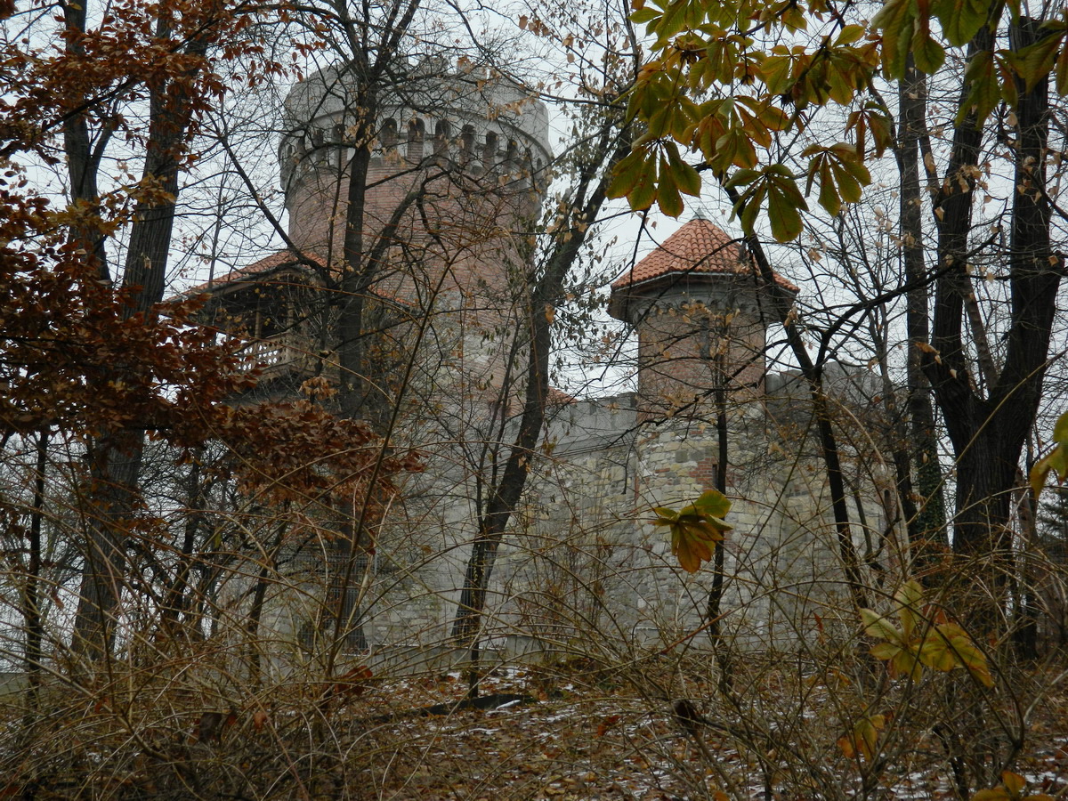 LA MULTI ANI, ROMANIA!: Castelul lui Vlad Tepes
