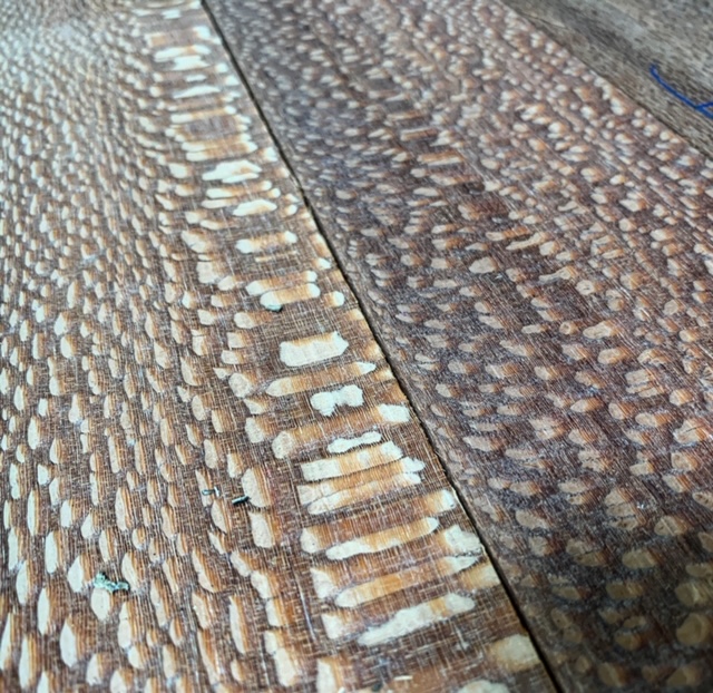 Tropical Exotic Hardwoods: #leopardwood