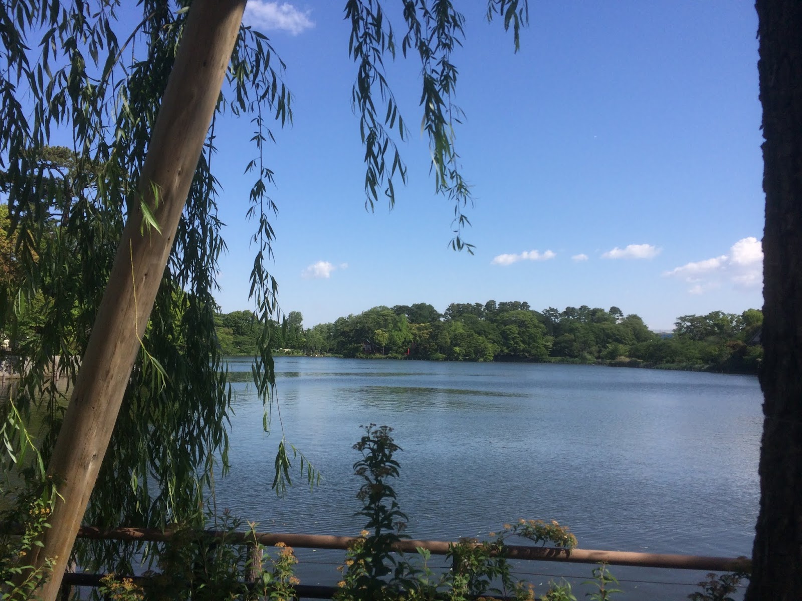 Our Adventures in Japan: greenery day