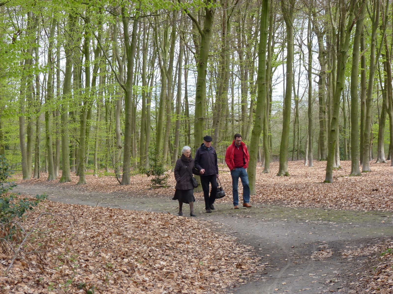 Het Engelse Avontuur: Landal Klein Ruwinkel, Scherpenzeel