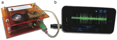 The Cellular Scale: How and Why Neuroscience should be taught in School