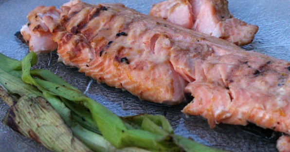 The Aquaculturists: 20/07/2016: Aqua-Spark invests in Icelandic arctic ...