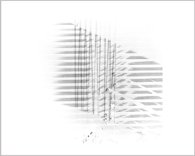 Steven D. Foster ~ Photographs : The Departing Landscape website ...