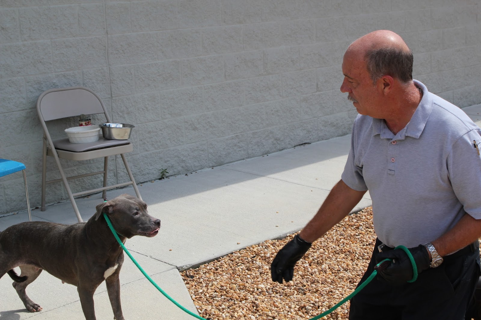 Canine Aggression Issues with Jim Crosby: Demon possessed dogs vs ...