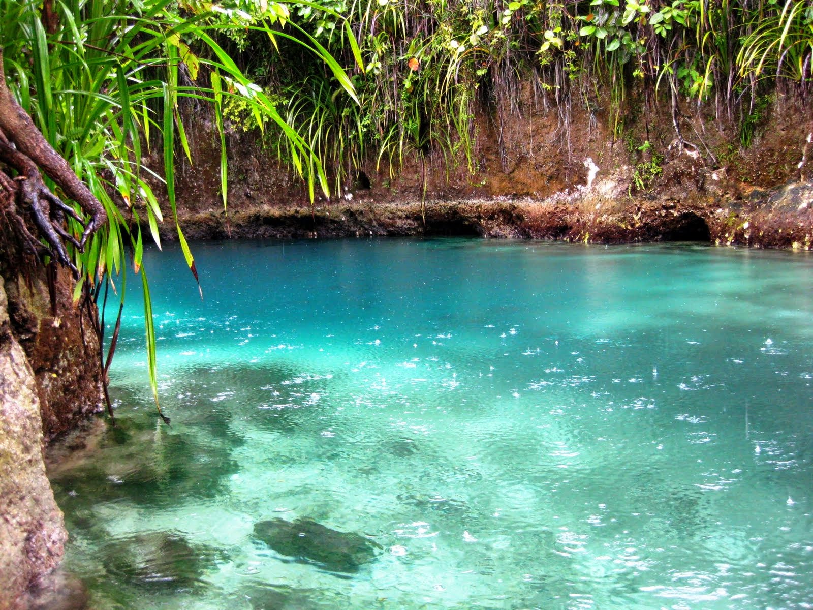 #Curiosidades: Marcando La Diferencia#: Un río encantado en Filipinas