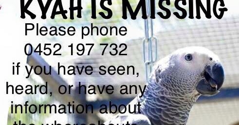 911 Parrot Alert's Resources for Lost & Found Parrots: Australia