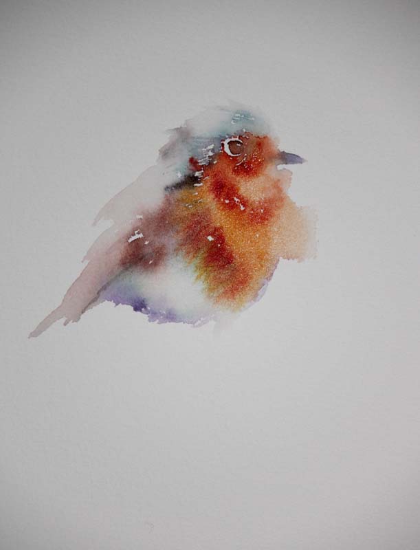 Watercolours With Life: Robin in Watercolour 2016