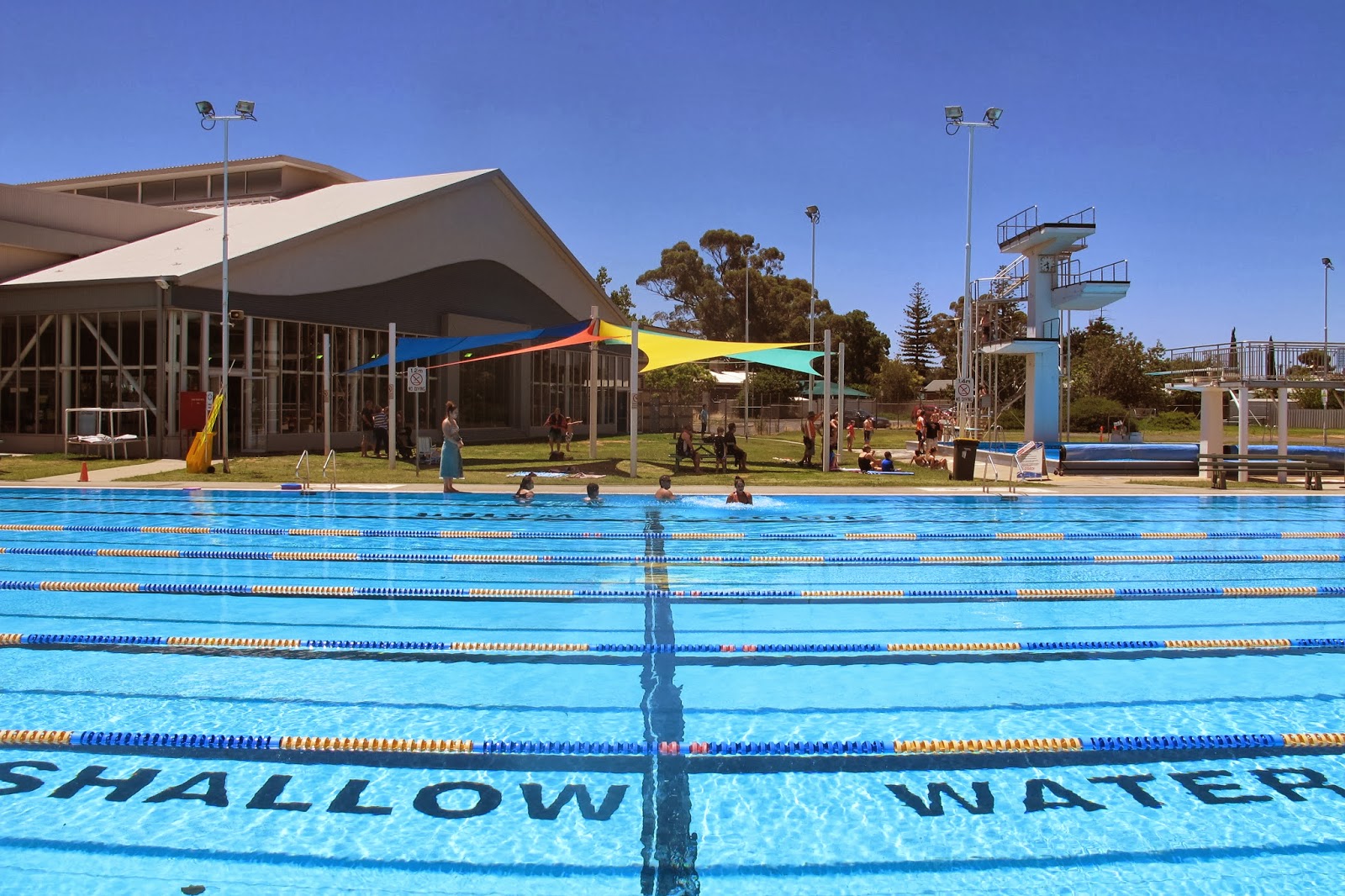 Swimming: Swimming across the Riverina