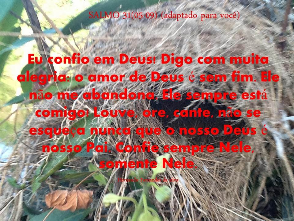 Agora estamos no site: https://hernandofernandes.com.br/. Acesse neste ...