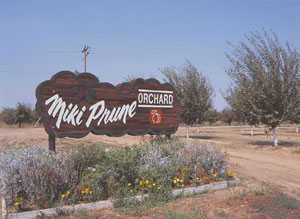 miki prune extract m-plan