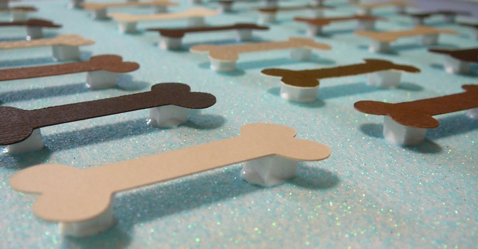 Rhinestone Beagle: Bone Specimens