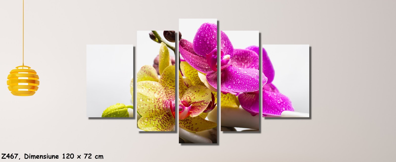 Tablouri Canvas, Tablouri Moderne, Tablouri Decorative, Tablouri ...