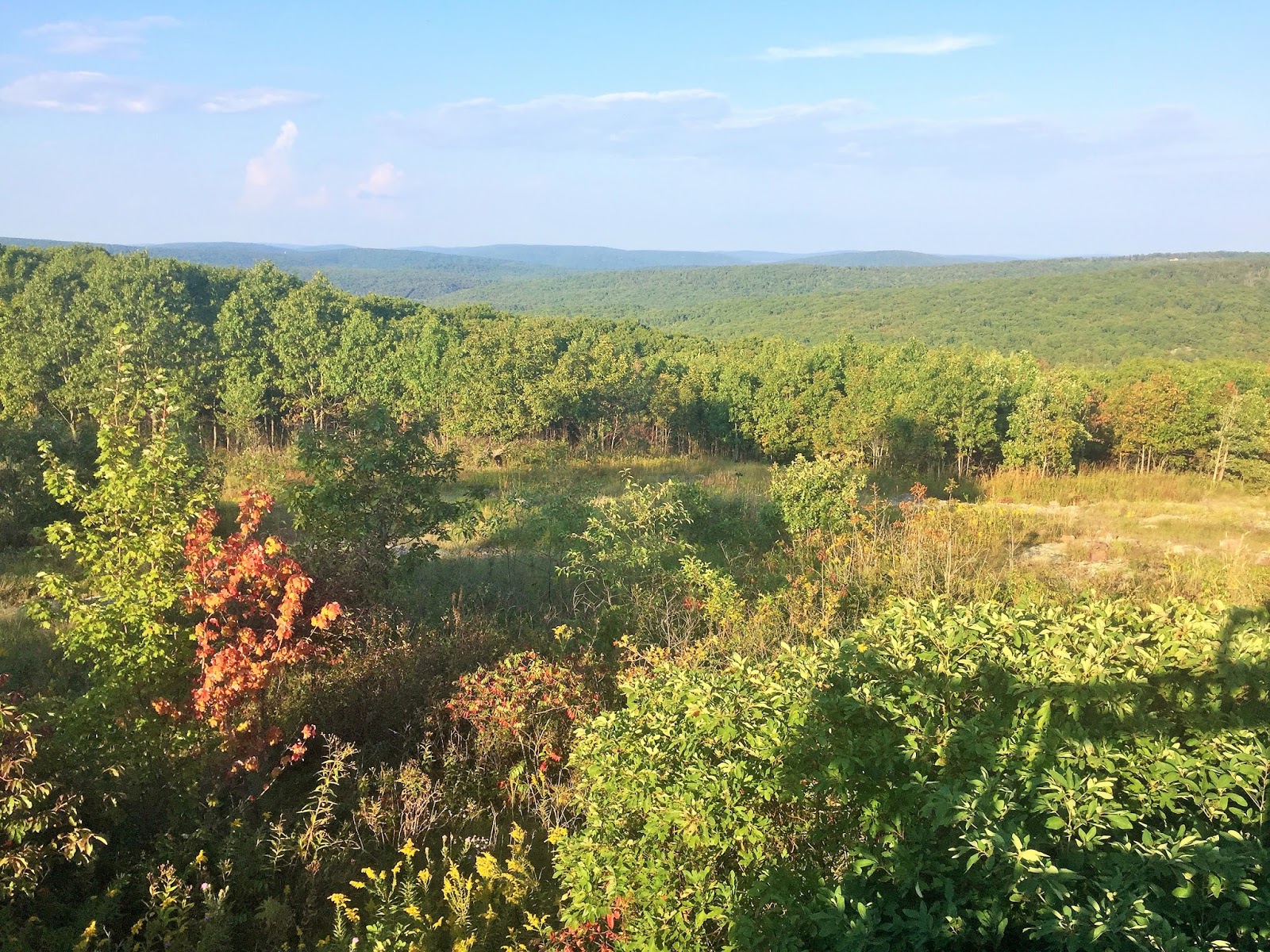 Down the Road: Missouri High Point, An Old Abbey & Learning about Lead