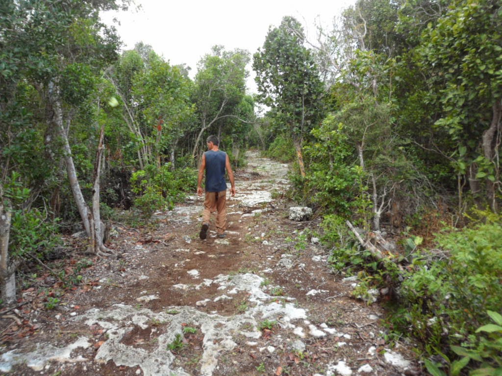 Gibara - the authentic side of Cuba