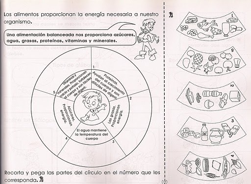 Actividades Escolares: actividades sobre la alimentación