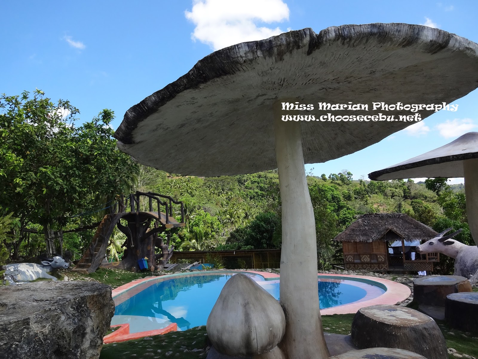 Cebu City Photos: Coal Mountain Resort - Argao, Cebu