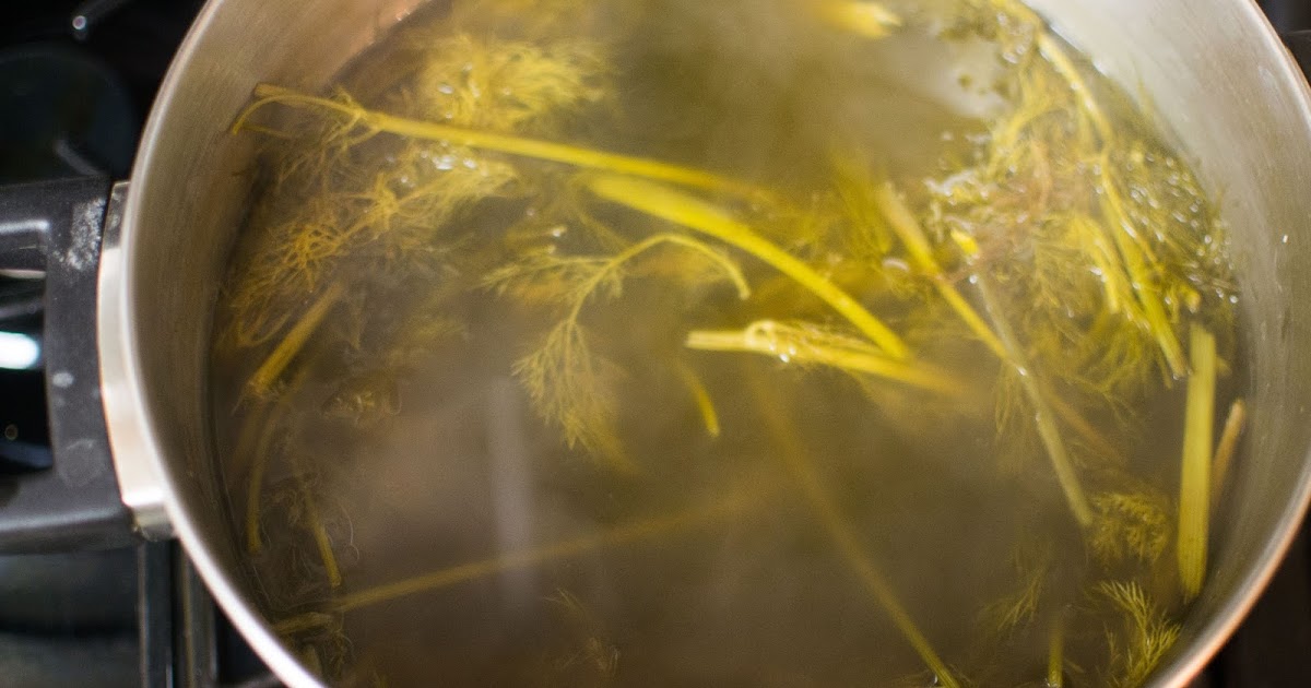 Snail Crafts: Fennel and Rosemary Dye Fun